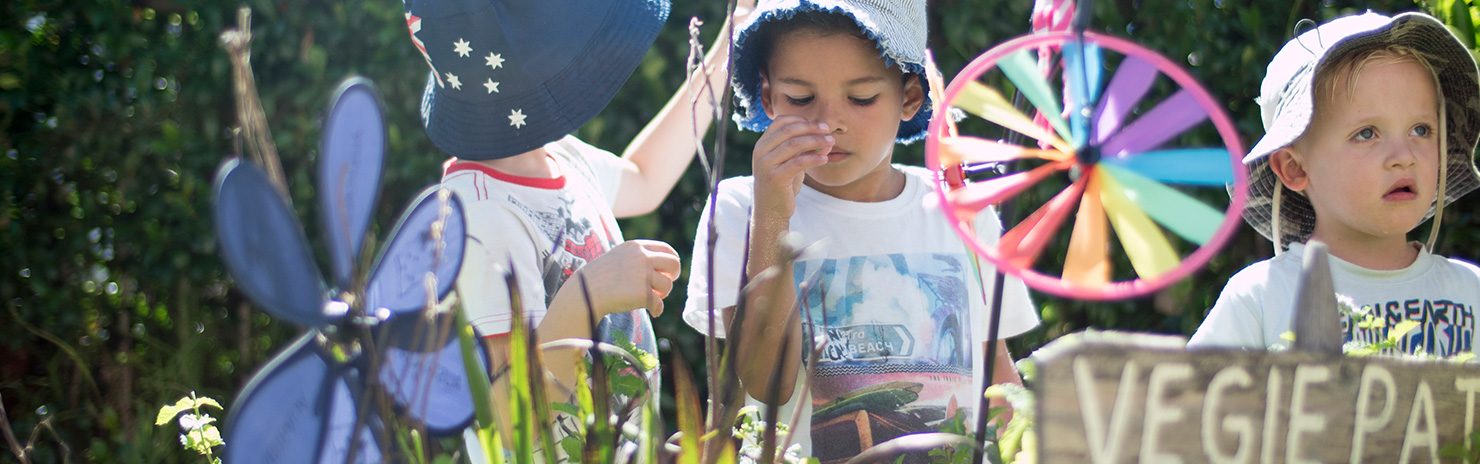 Exclusive Preschool Program : Kindalin ~* Early Childhood Learning Centres